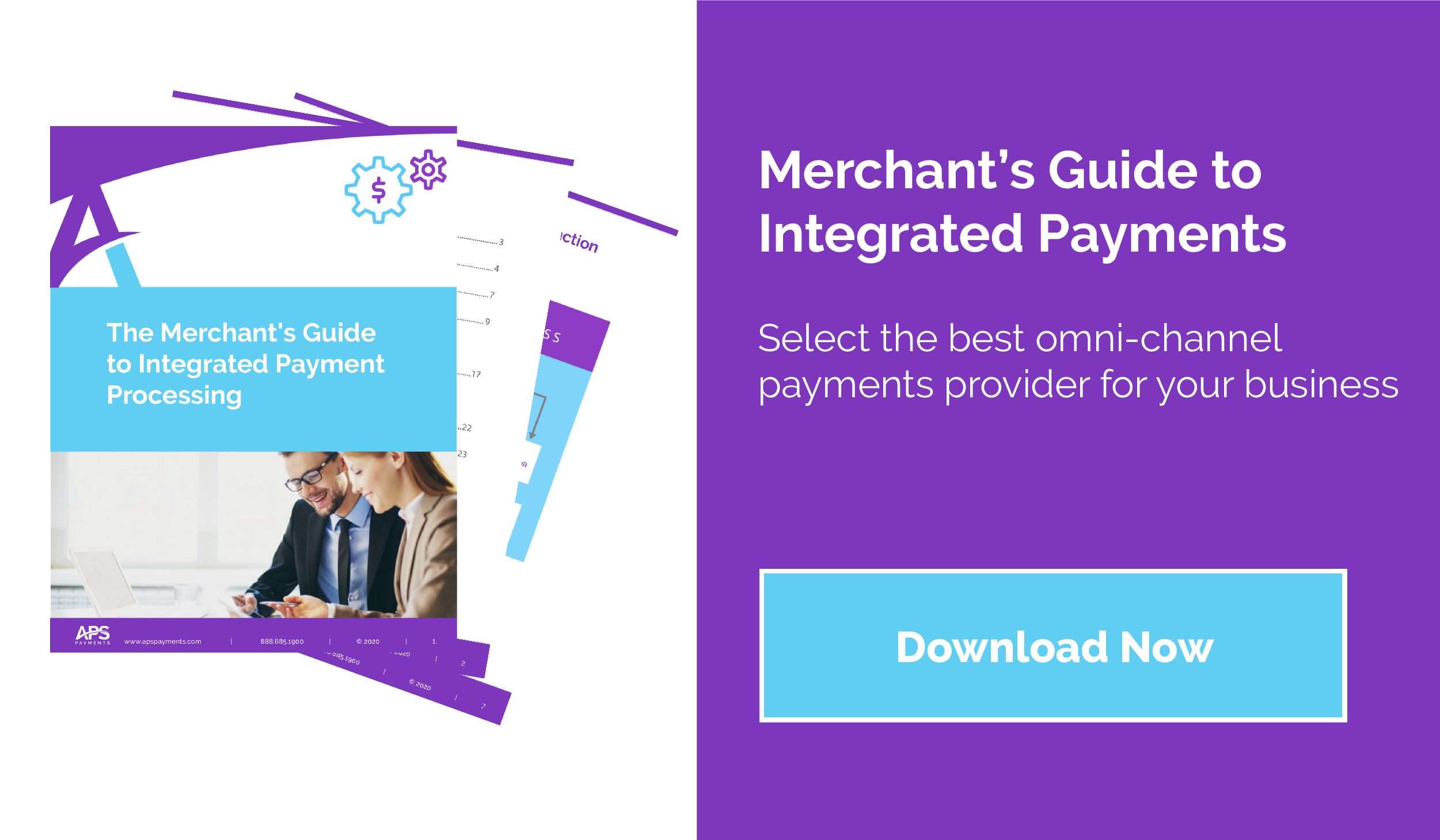 Merchant's Guide to Integrated Payments